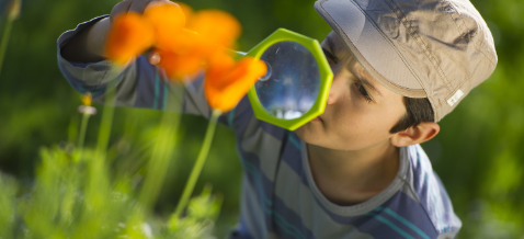 Camps | Summer and Vacation Activities for Kids | Mad Science